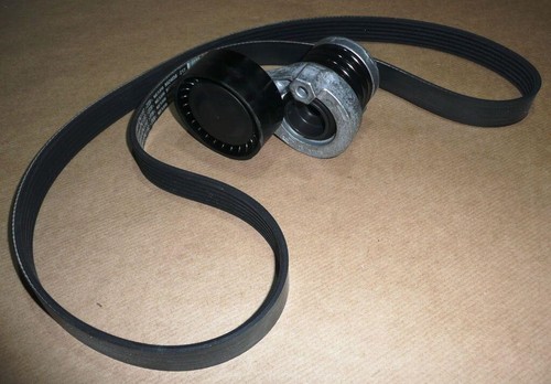 Genuine Renault Auxilary Belt Kit Captur CLIO MEGANE 1.5 dCi 117202495R ...