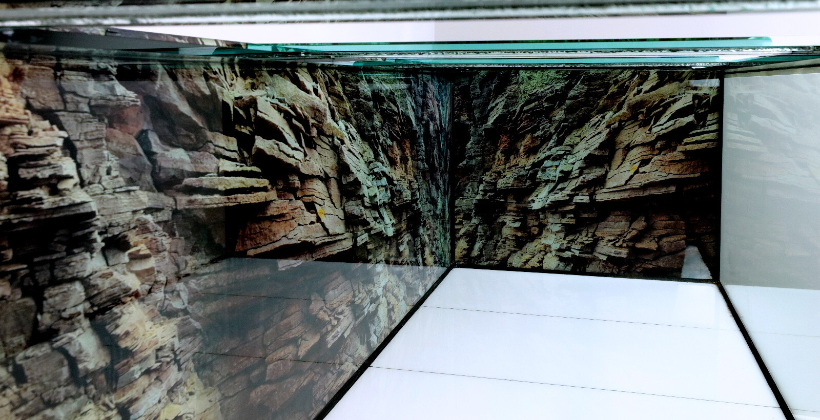 Large customer order aquarium with a samp tank and 3D printed backgrou ...