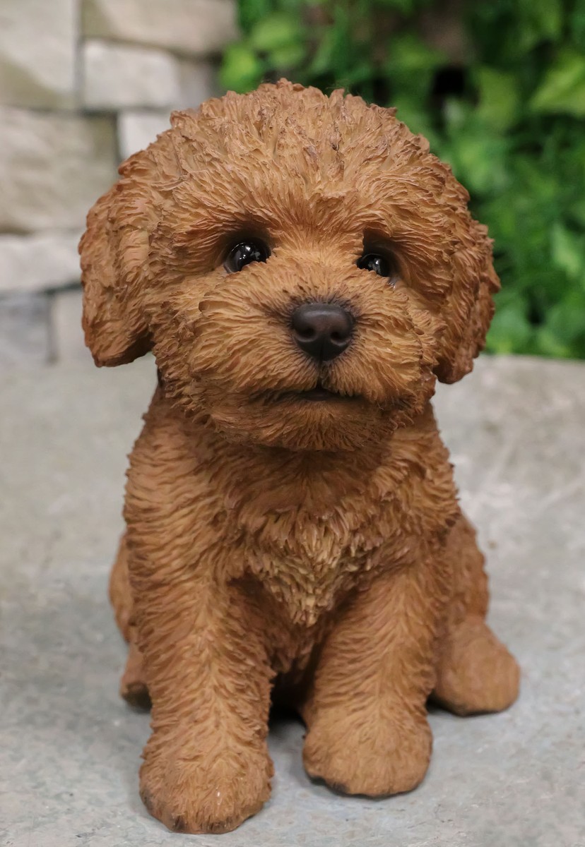 Bichon Frise Tattoos Bichon Frise Tattoo Tattoo