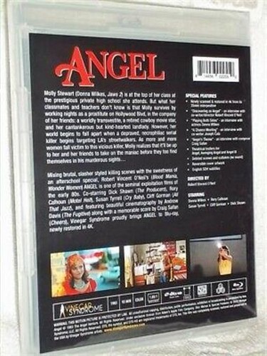 Angel (Blu-ray, 2019) NEW Donna Wilkes Susan Tyrrell Rory Calhoun Dick ...