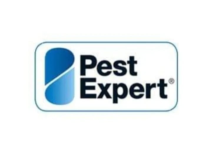 Pest Expert Rat Rodent Poison Killer Formula B+ Advanced ( Professional ...