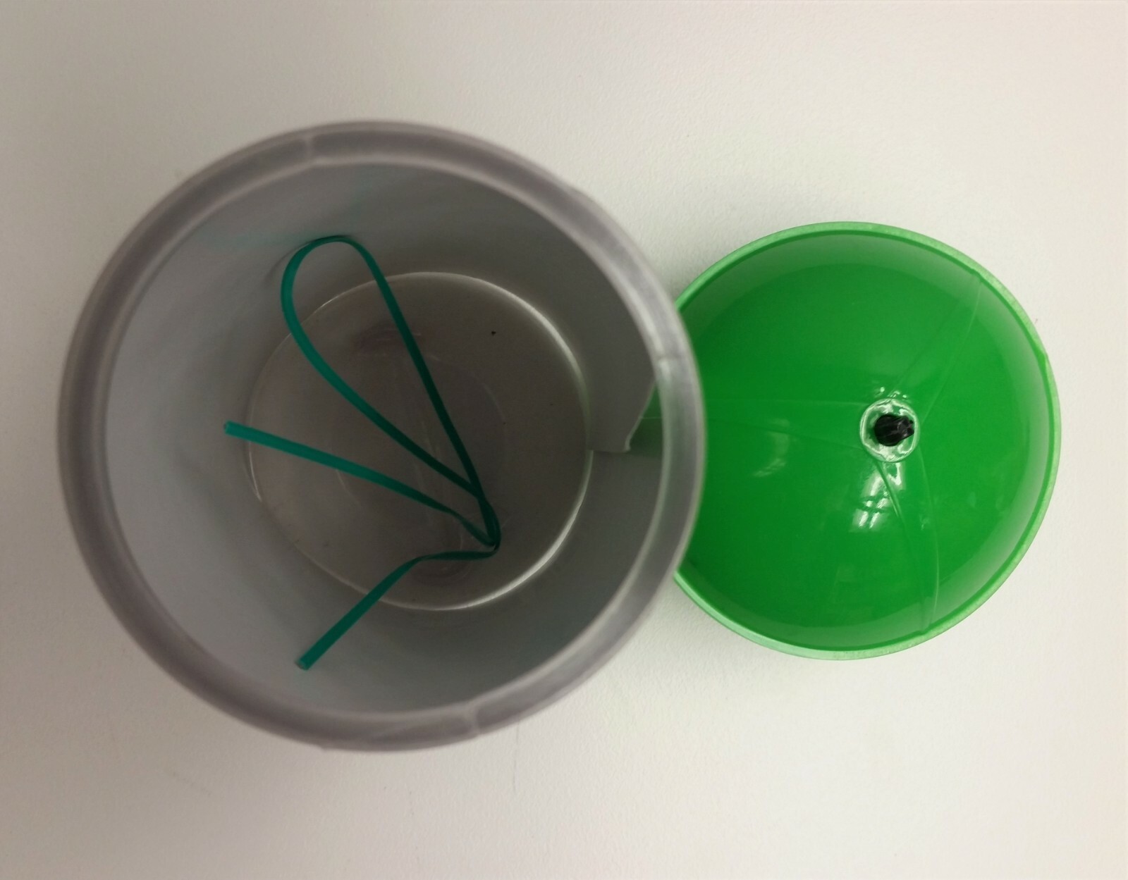 Fly Trap Catcher Enviro Safe Eco Friendly Catch Blowfly House Flies ...