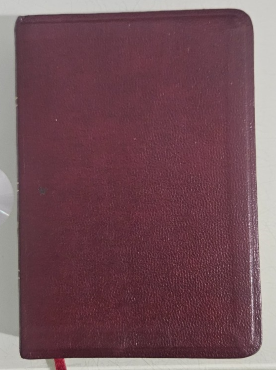 2005 holman CSB HOLY BIBLE LARGE PRINT COMPACT EDITION red faux leather ...