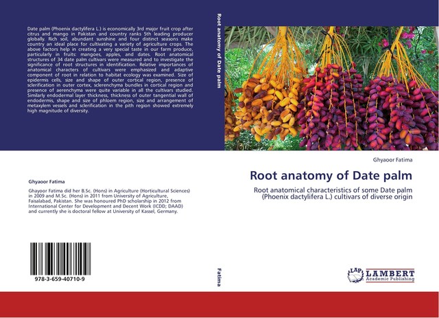 Root Anatomy of Date Palm von Ghyaoor Fatima (2013, Taschenbuch) online ...