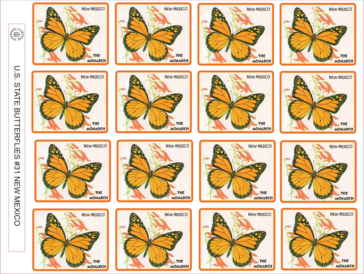 New Mexico State Butterfly