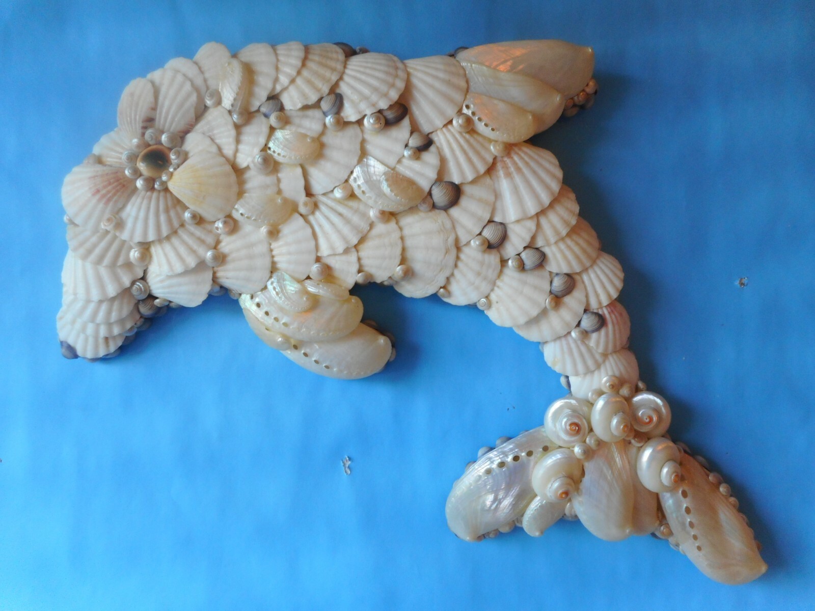 Stunning Sea Shell Dolphin Wall Sculpture-Wall Dolphin- Artist Created ...