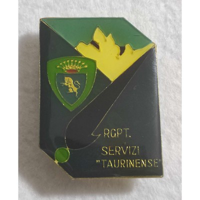 Distintivo / Spilla RGPT. Servizi Taurinense | eBay