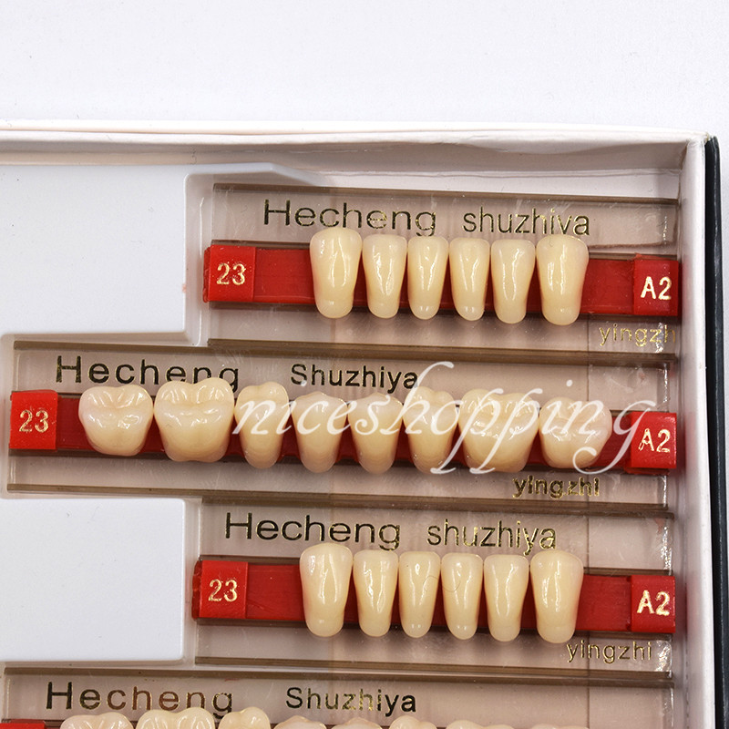 Dental 3 Set of 84*1 Acrylic Resin Denture Teeth VITA Color A2 Upper ...