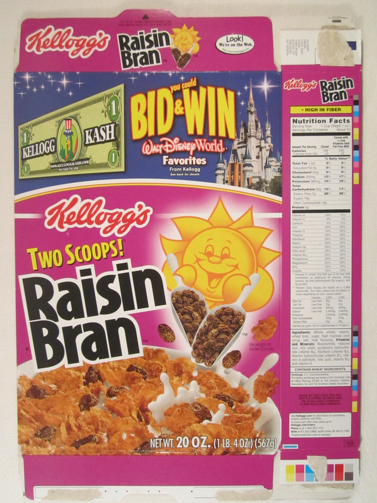 MT KELLOG'S Cereal Box 2003 RAISIN BRAN 20oz WALT DISNEY WORLD [Y156C2o ...