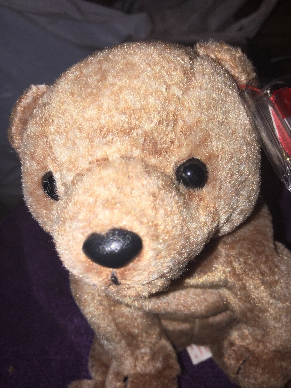 TY Beanie Baby - Pecan The Bear Retired With Tag Protector 1999 Rare | eBay