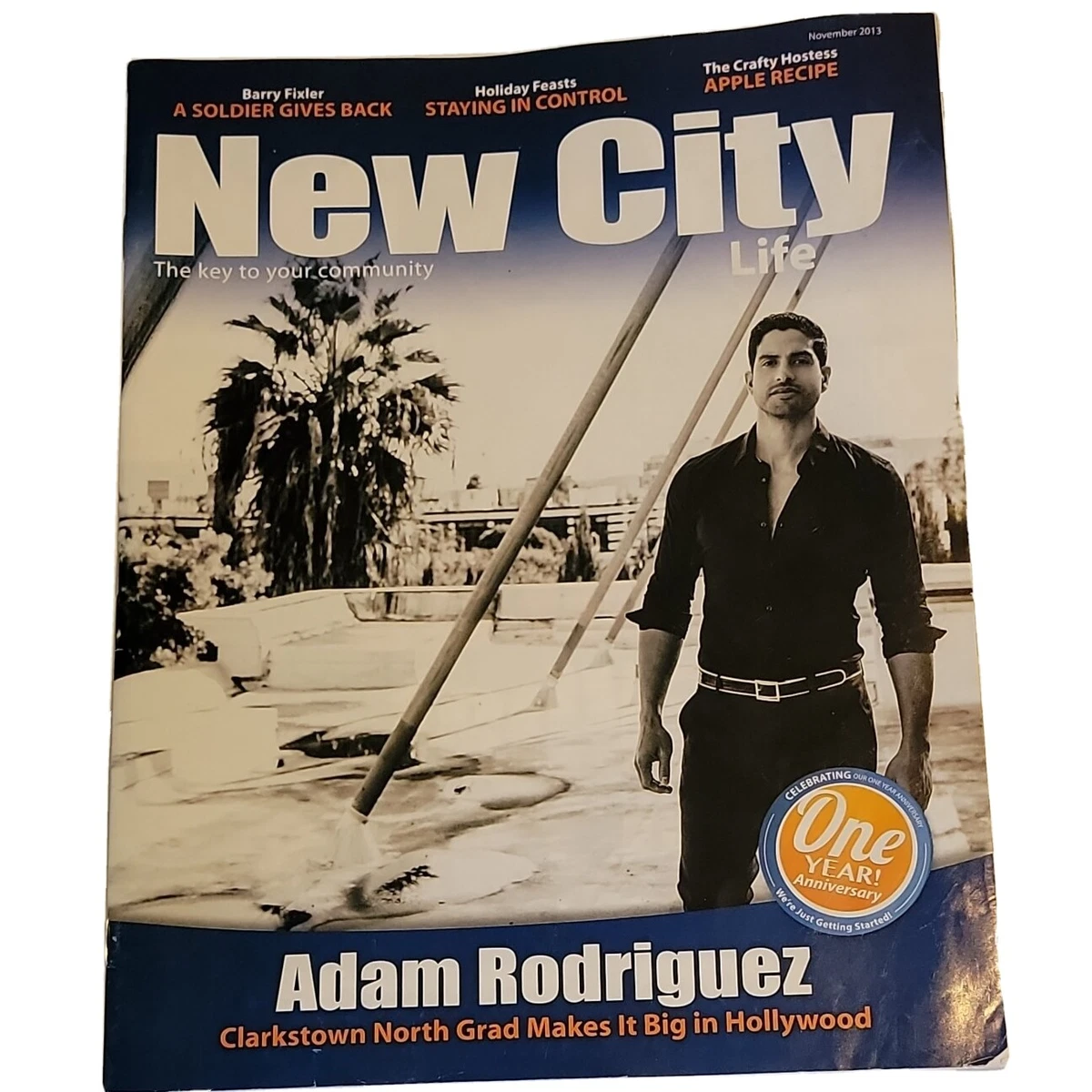 Adam Rodriguez Movies