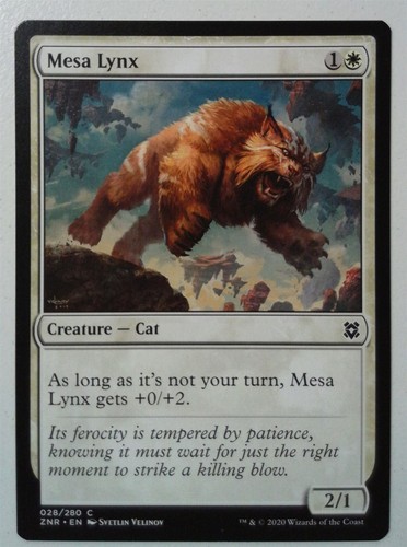 Mesa Lynx *Common* Magic MtG x1 Zendikar Rising | eBay