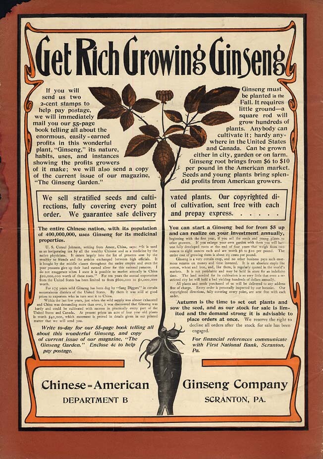 Growing Ginseng In Pennsylvania Colwell's Ginseng || Pennsylvania