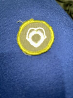 Older Boy Scout LIFESAVING Rolled Edge Khaki Twill Merit Badge | eBay