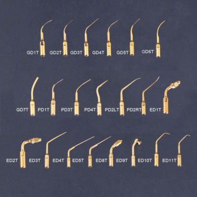 1 Pc Dental Endo Perio Fit DTE/SATELEC GD PD ED Ultrasonic Scaler ...