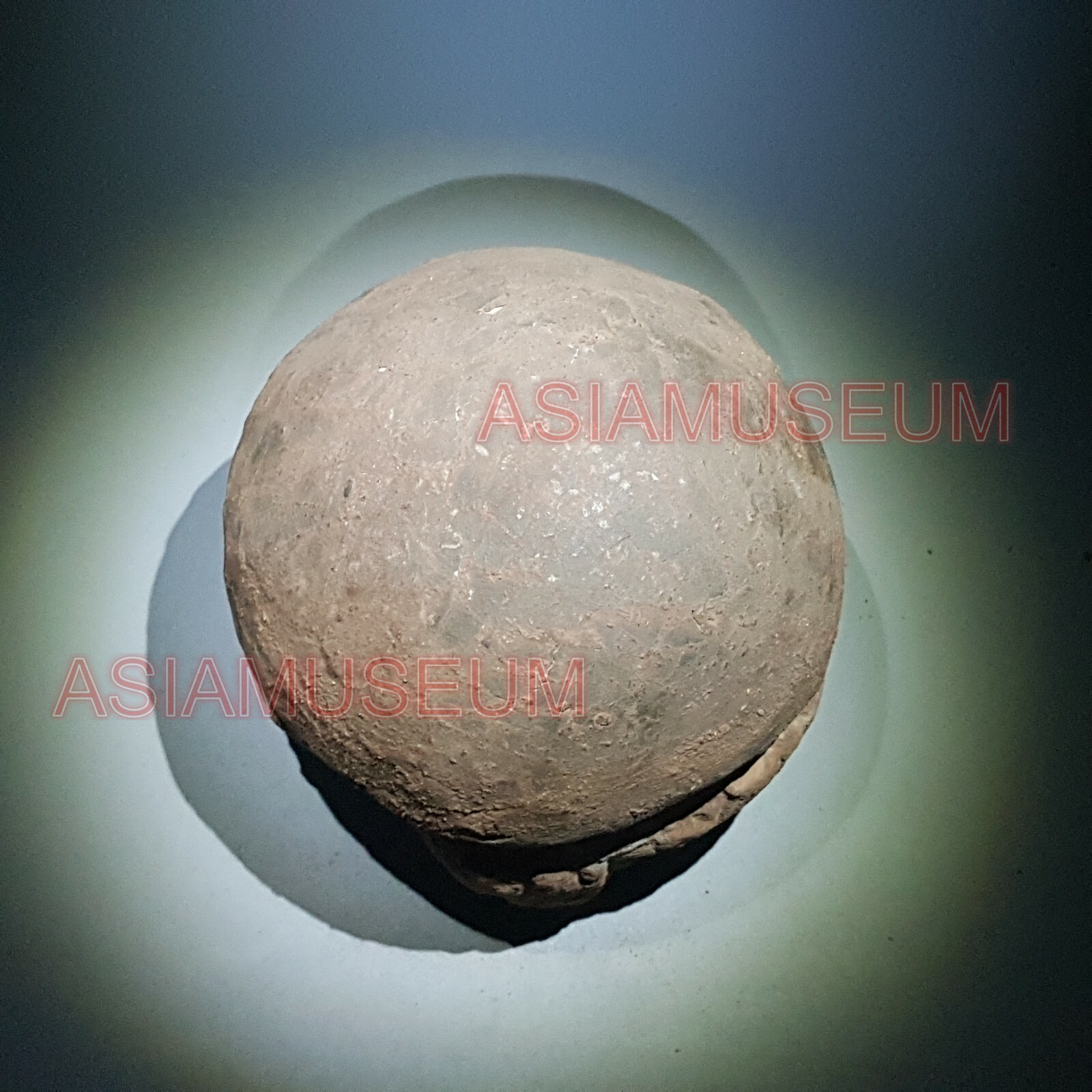 Dinosaure Oeuf Hadrosaur Nid Dendrolithus Fossile Jurassique Monde ...