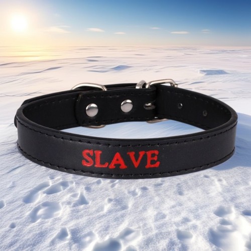 Spank Me Collar Necklace With Letters Punk KING Role Age Costume Gothic ...