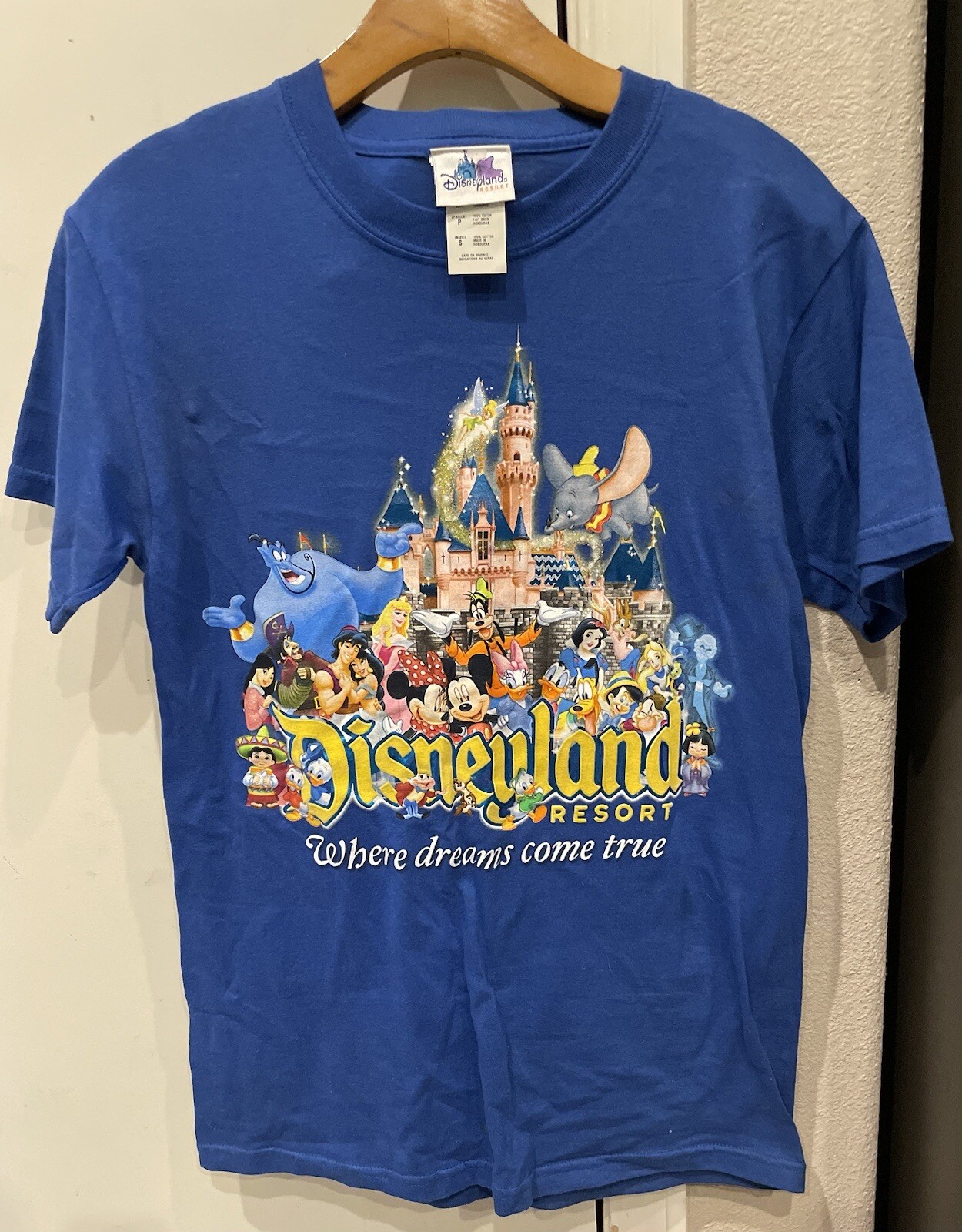 Disneyland Resort Where Dreams Come True Castle Aladd… - Gem