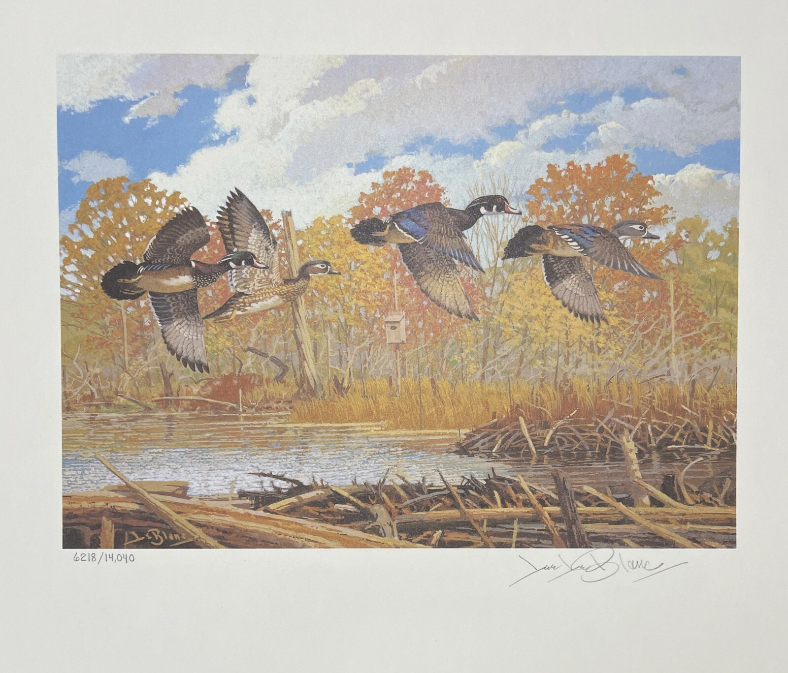 1987 NEW YORK - State Duck Stamp Print **Lee LeBlanc** | eBay
