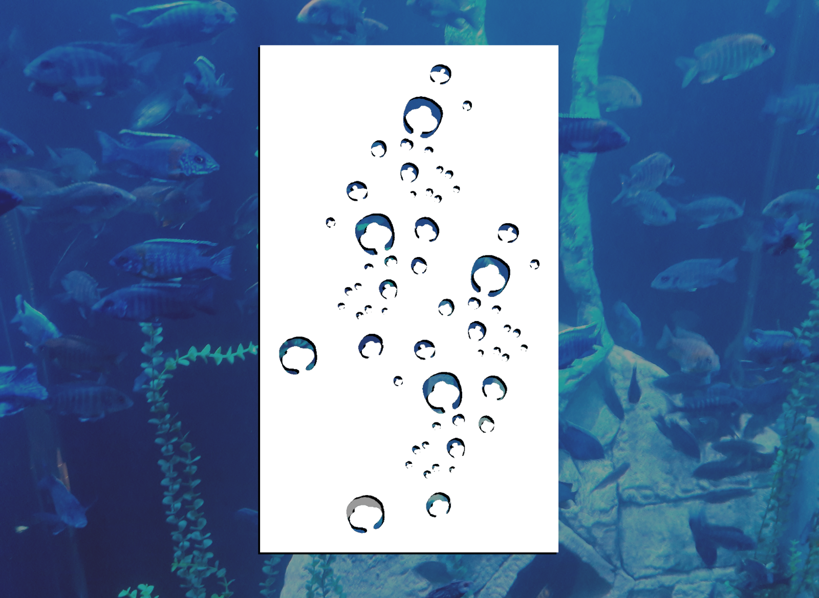 Water Bubbles Stencil