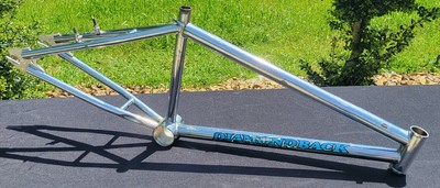 Vintage Frames - Gt Dyno - Nelo's Cycles