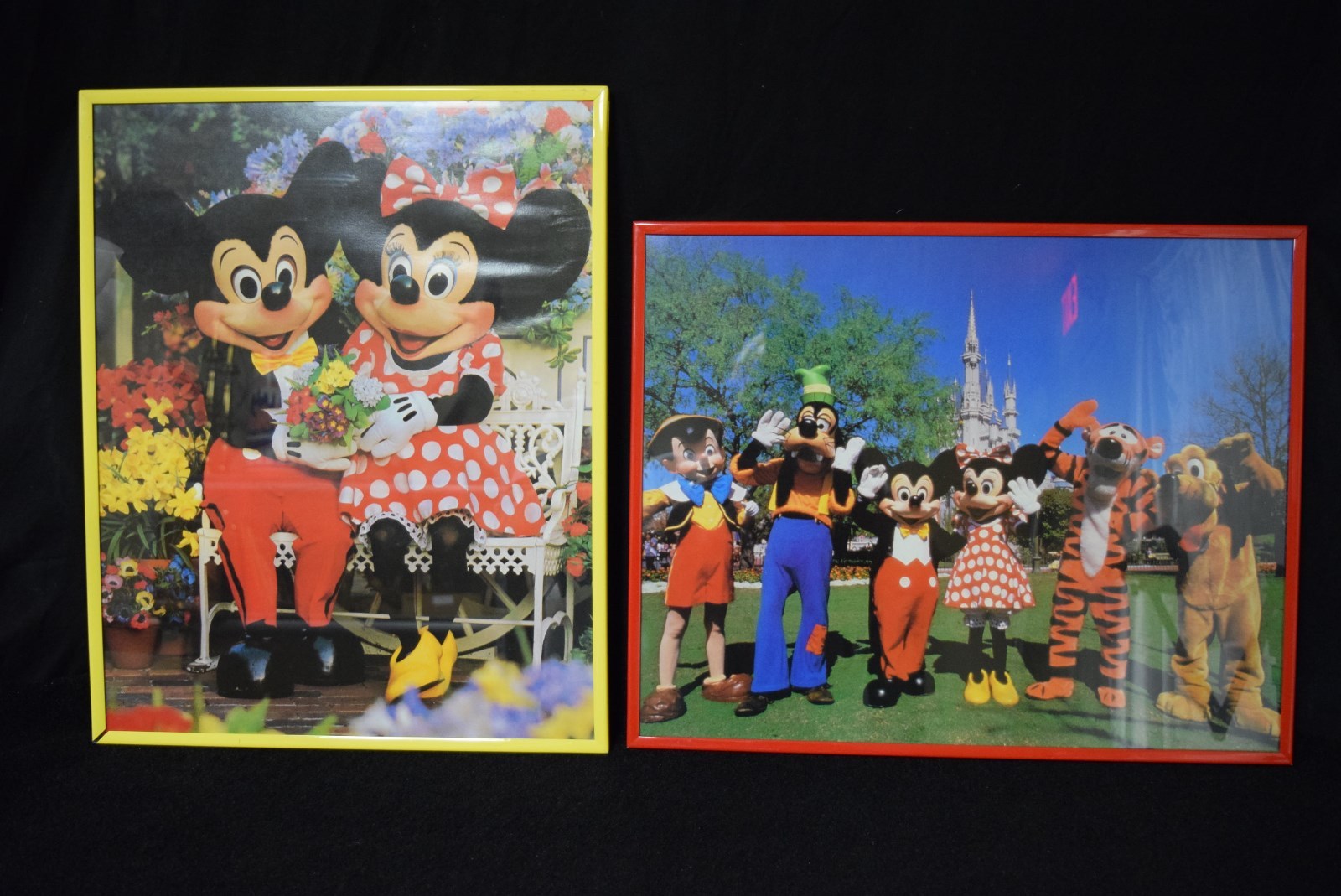 DISNEY PARKS CHARACTERS PHOTOGRAPH MICKEY MINNIE GOOFY TIGGER PLUTO ...