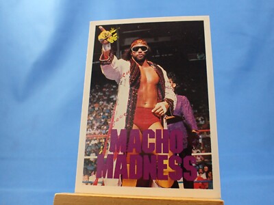 Randy Macho Man Savage Classic WWF 1990 TitanSports #126 Macho Madness ...