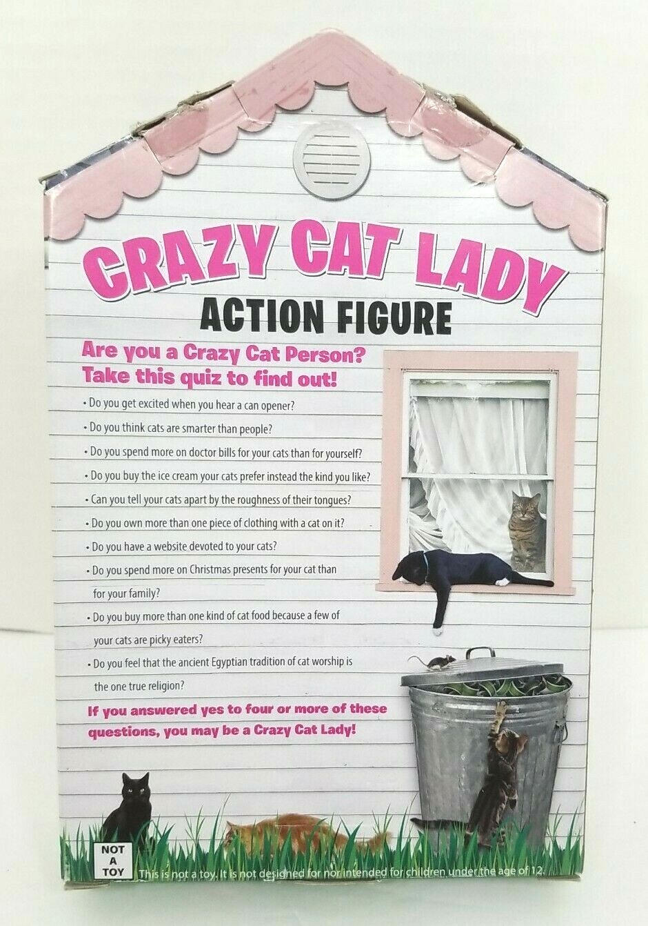 Accoutrements Crazy Cat Lady Action Figure for sale online | eBay