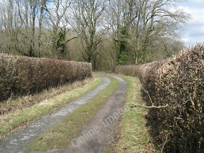 Photo 12x8 Trimmed hedges by track to Furze Field Plumpton/TQ3613 c2010 ...