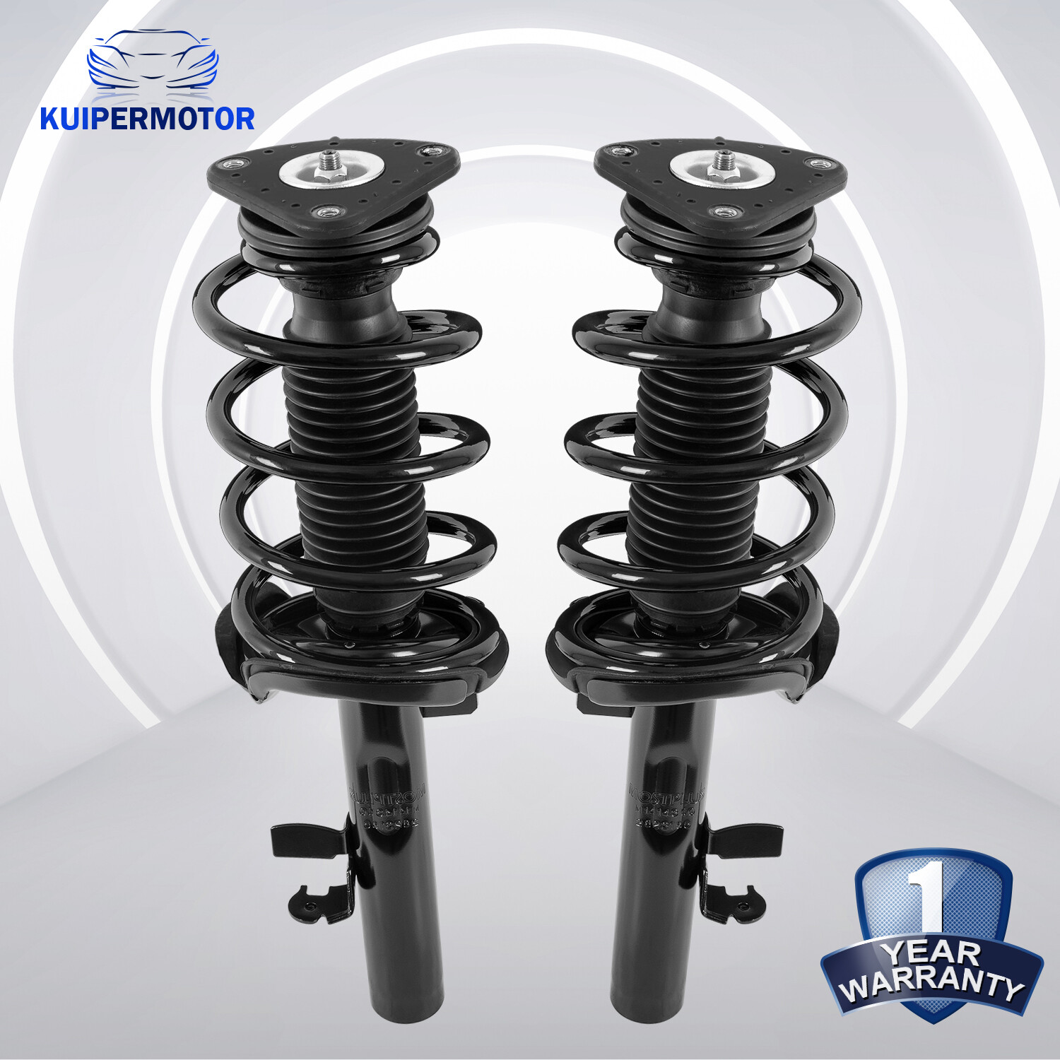 Front 2x Complete Struts & Coil Spring Assemblies For 2014-2019 Ford ...