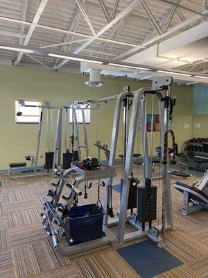 Precor Icarian 5 Stack Multi Gym - Cleaned & Serviced | eBay
