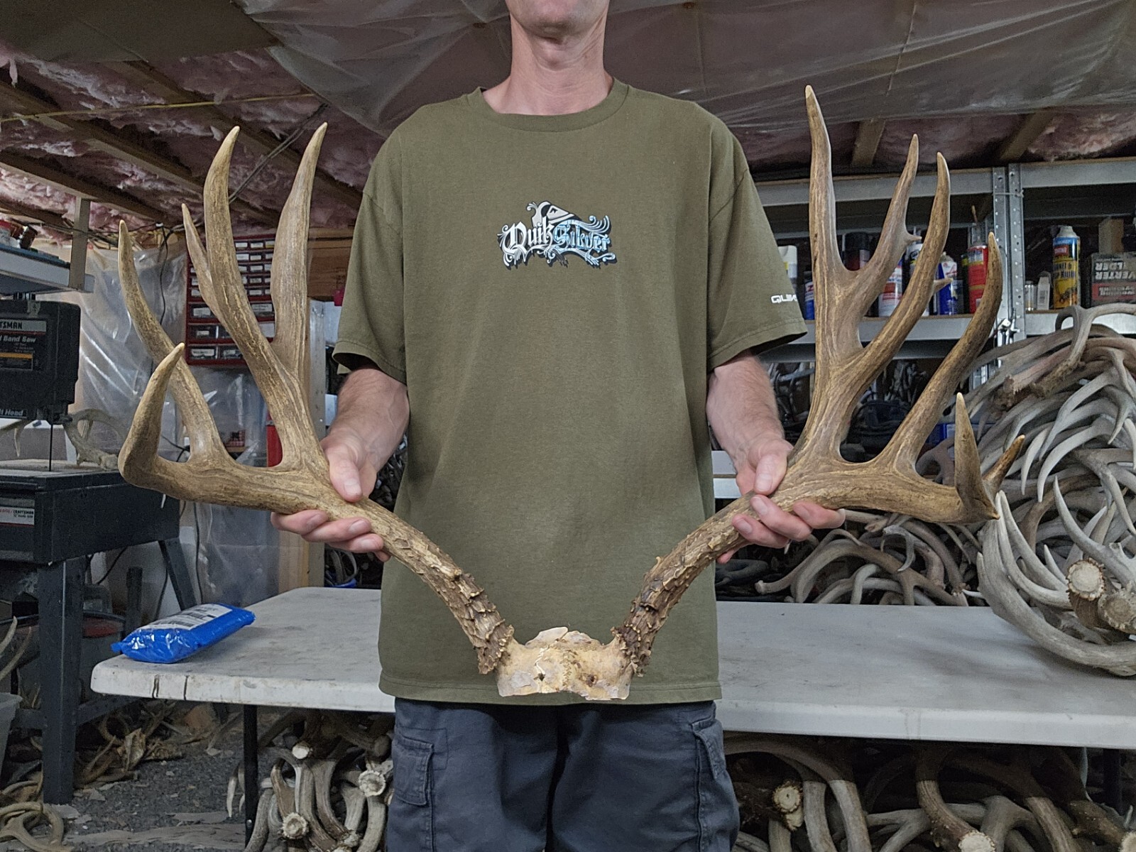 Huge 173" Mule Deer Rack Set Antlers Sheds Horns Elk Moose Rack | eBay