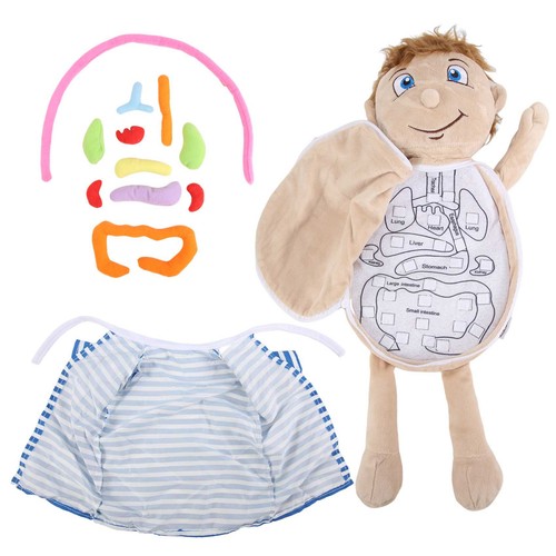 Kids Assembled Plush Body Organs Toy Human Body Anatomy Plush Doll ...