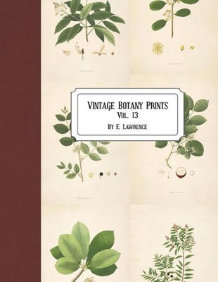 Vintage Botany Prints: Vol. 13 by E. Lawrence (English) Paperback Book ...