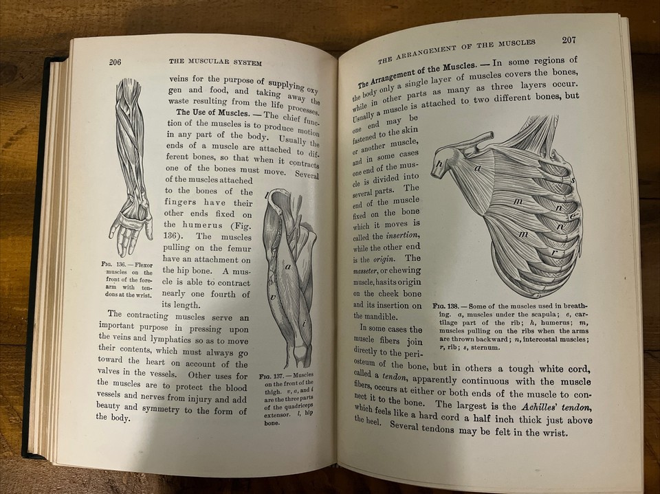 1908 Human Body & Health Advanced illustrated Hardcover Book by Alvin ...