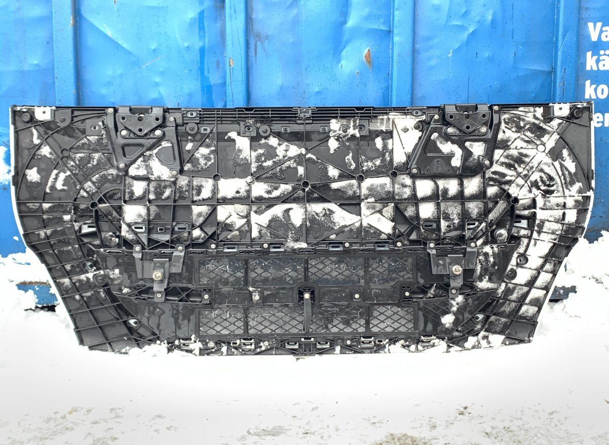 5801549064 + 504306106 X 2 Avant Grille Panneau Avec Charnière pour ...