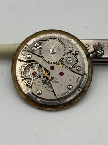 Guidus Venus 20 227 Movement | eBay UK