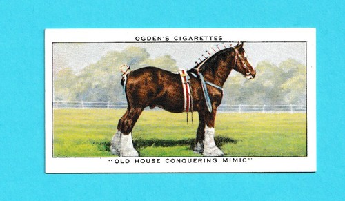 1936 Ogden's Cigarettes Old House Conquering Mimic #45 Stallion ...
