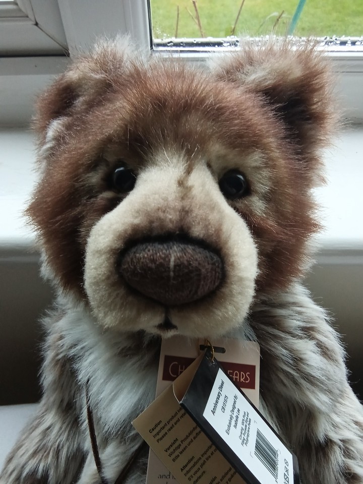 Retired Charlie Bears Diesel by Isabelle Lee with Tags | eBay UK