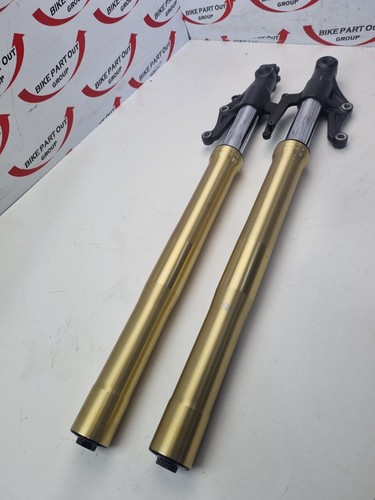 Front forks Triumph Street Triple 660 675 13-16 T2046811 T2046812 | eBay