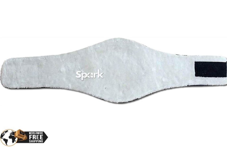 IBO International Boxing Organization World Boxing Championship Title ...