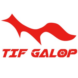 tifgalop | eBay Stores