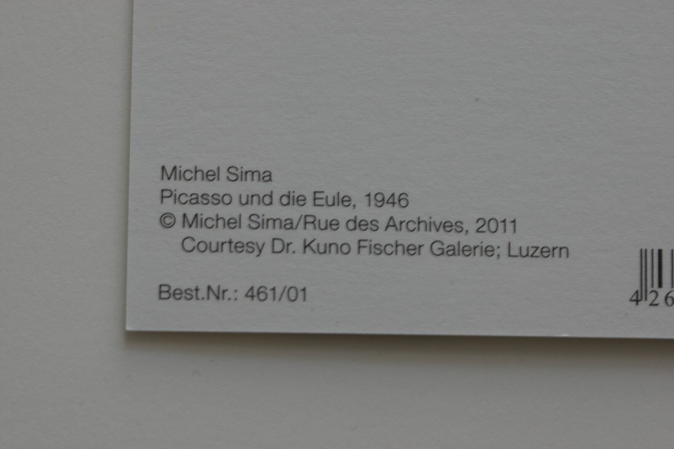 Michel Sima: PABLO PICASSO and the Owl , Art-Postcard NEW | eBay