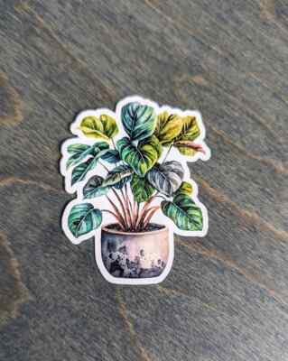 Houseplant Vinyl Stickers, Potted Plant Stickers, Laptop Sticker, All ...