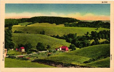 Vintage Postcard- GReen fields, bushes, forest and a village Early ...