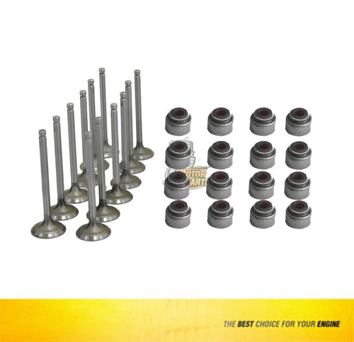 Exhaust Valves Oil Seal Valve Set Fits 92-12 Hyundai Elentra 1.6L 2.0L ...