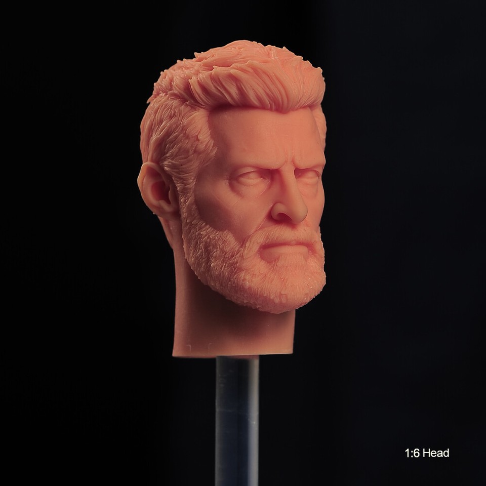 1/12 Wolverine Logan James Howlett Head Sculpt Fit 6inch Male Action ...