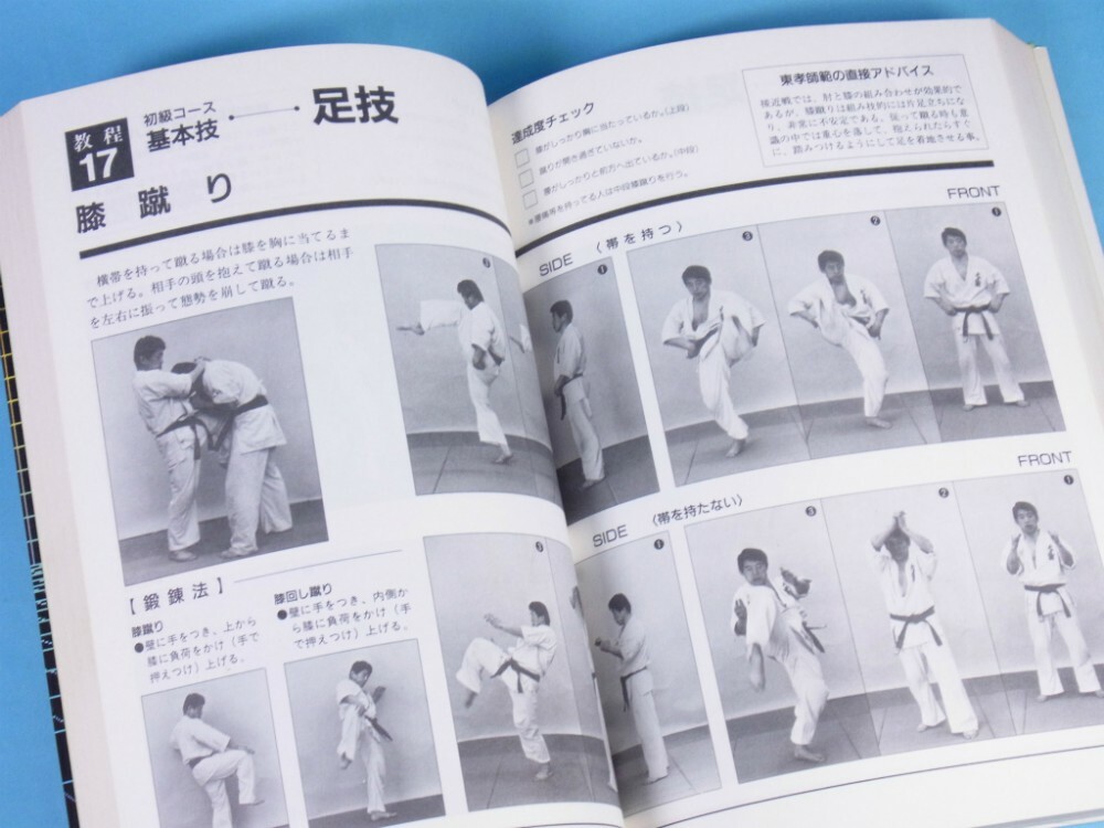 Daido Juku Karate Martial Arts Basic book Takashi Azuma Kudo MMA | eBay