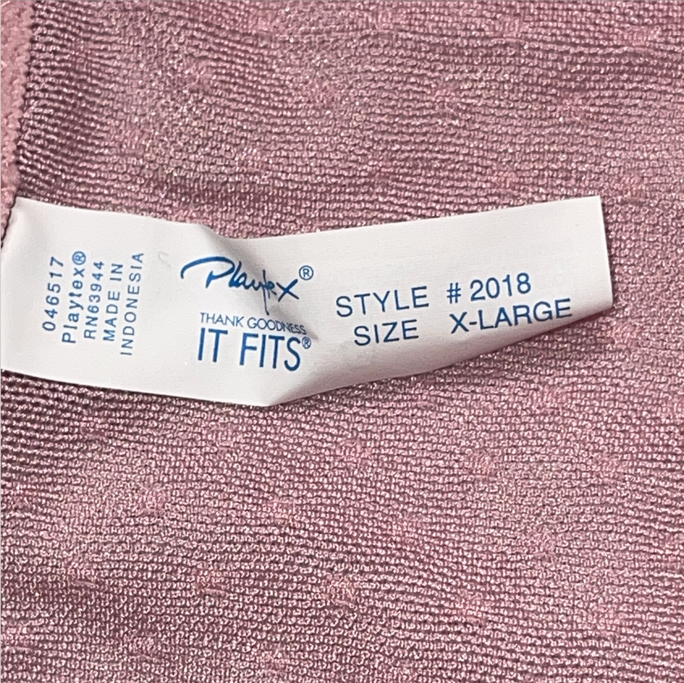 Playtex Thank Goodness It Fits! Sheer XL Y2K Hi-Cut Bikini Panty ...