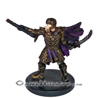 D&D Miniatures PHB Heroes Series 1 MALE HALF-ELF FIGHTER WARLOCK #10 | eBay
